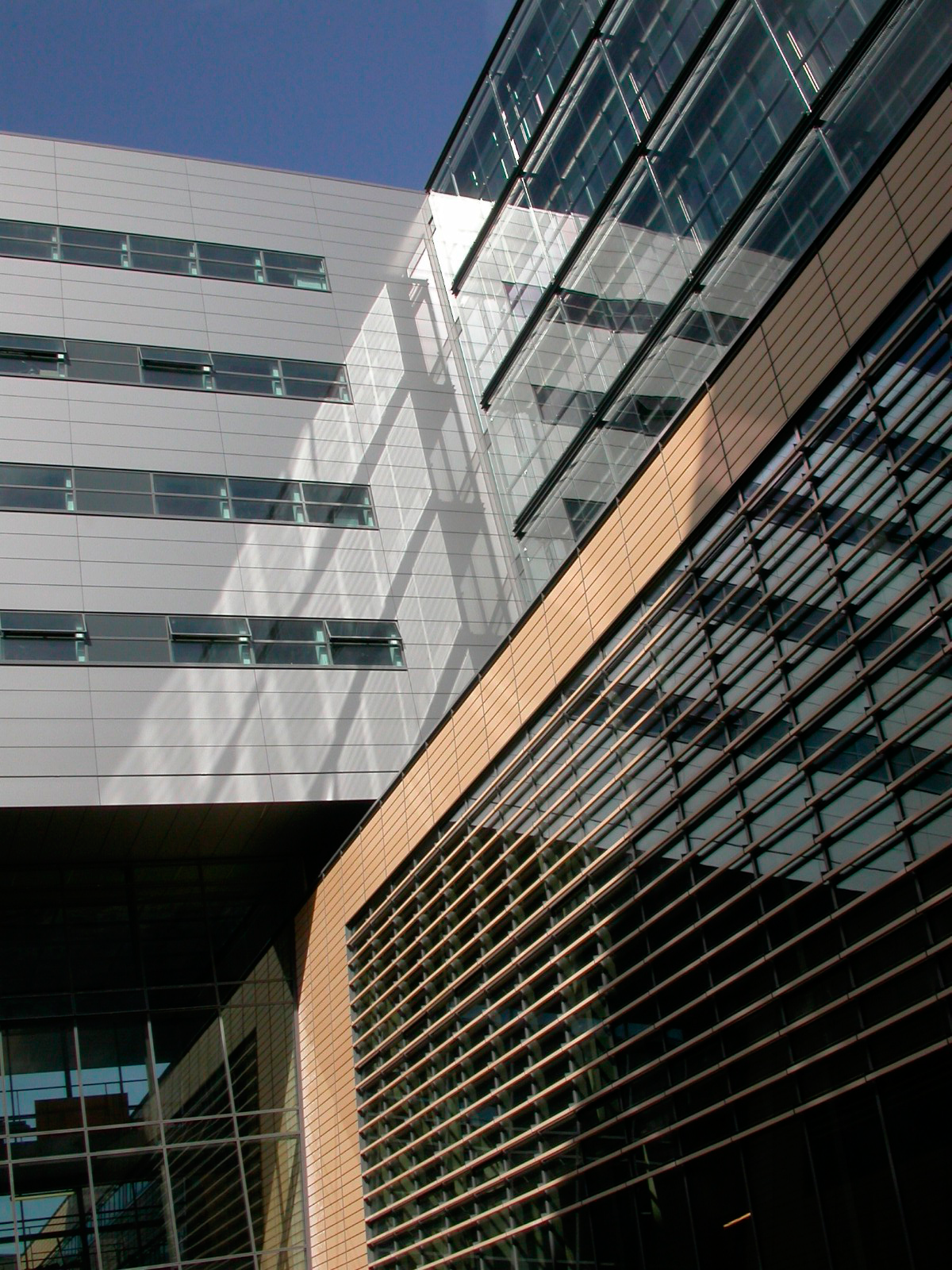 FRIIS & MOLTKE Architects - Medicinerhuset, Aalborg Sygehus Syd